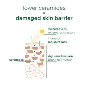 Skin Barrier Replenishing Cleanser | Simple Skincare